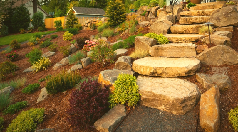 Tips on How to Landscape a Bare, Rocky, Steep Hill · All around the house